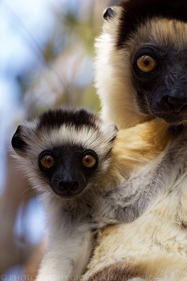 Co warto zobaczyć w stolicy Madagaskaru? - Octopus Travel